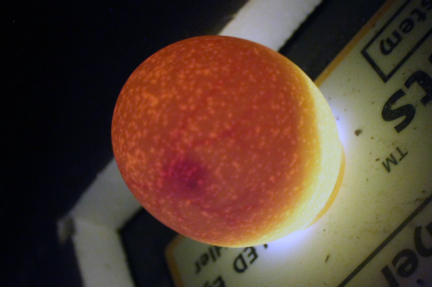 Fertile Hatching Eggs – Chick'n'Eggs